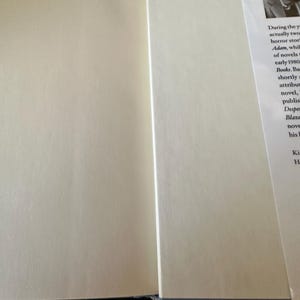 Stephen King , Blaze Book 2007 - Etsy
