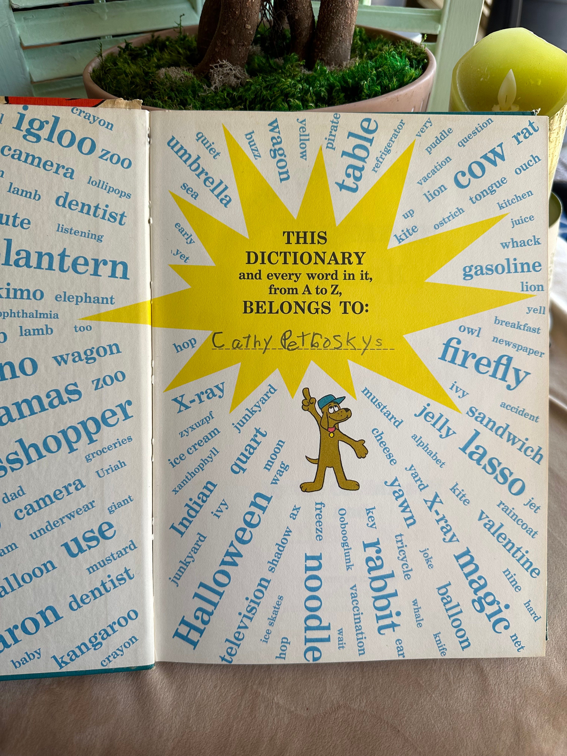 Vintage the Cat in the Hat Beginner Book Dictionary 1964 - Etsy