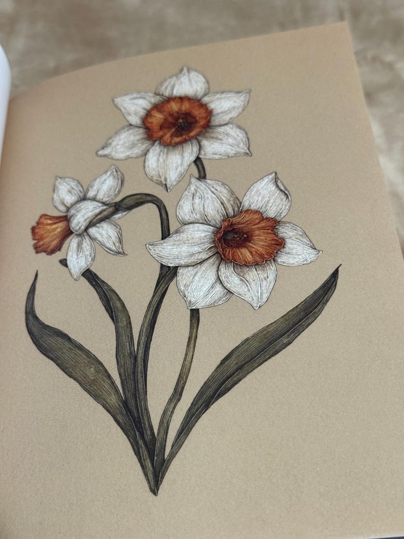Floriography, an Illustrated Guide to the Victorian Language of Flowers ...