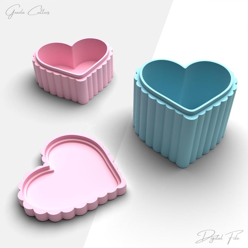 Scallop Storage - Etsy