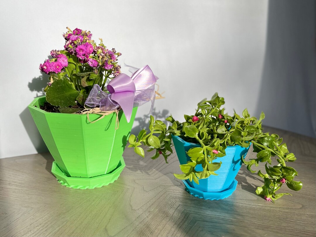 Grove Colorful Table Planter, Minimalist Indoor Pot, Modern Succulent ...