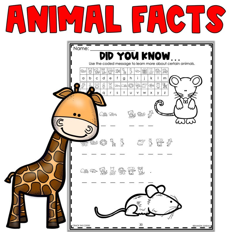 Crack the Code Riddles, All About Animals, Fun Facts Secret Code ...