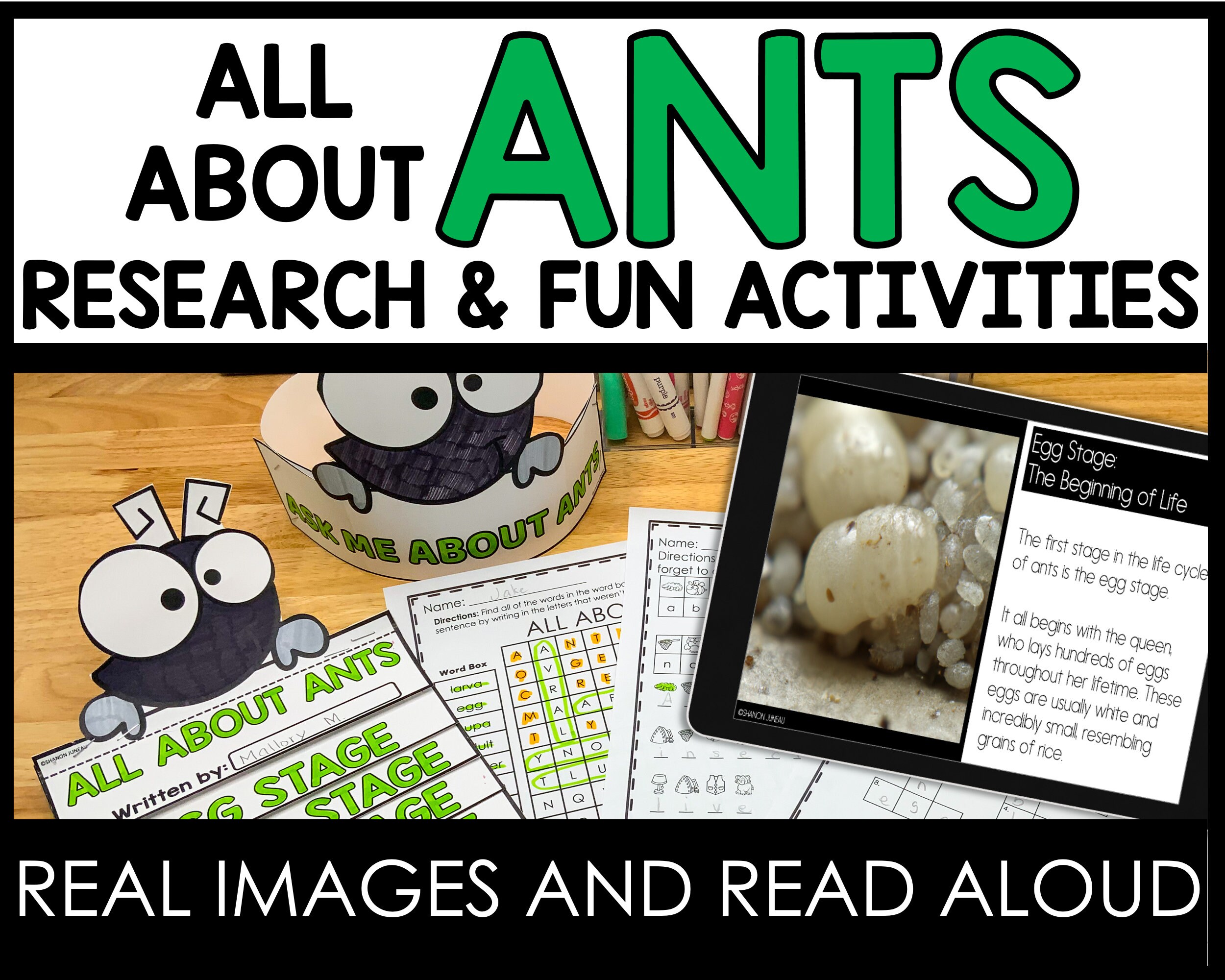 All About Ants Animal Science Unit Animal Research Project - Etsy