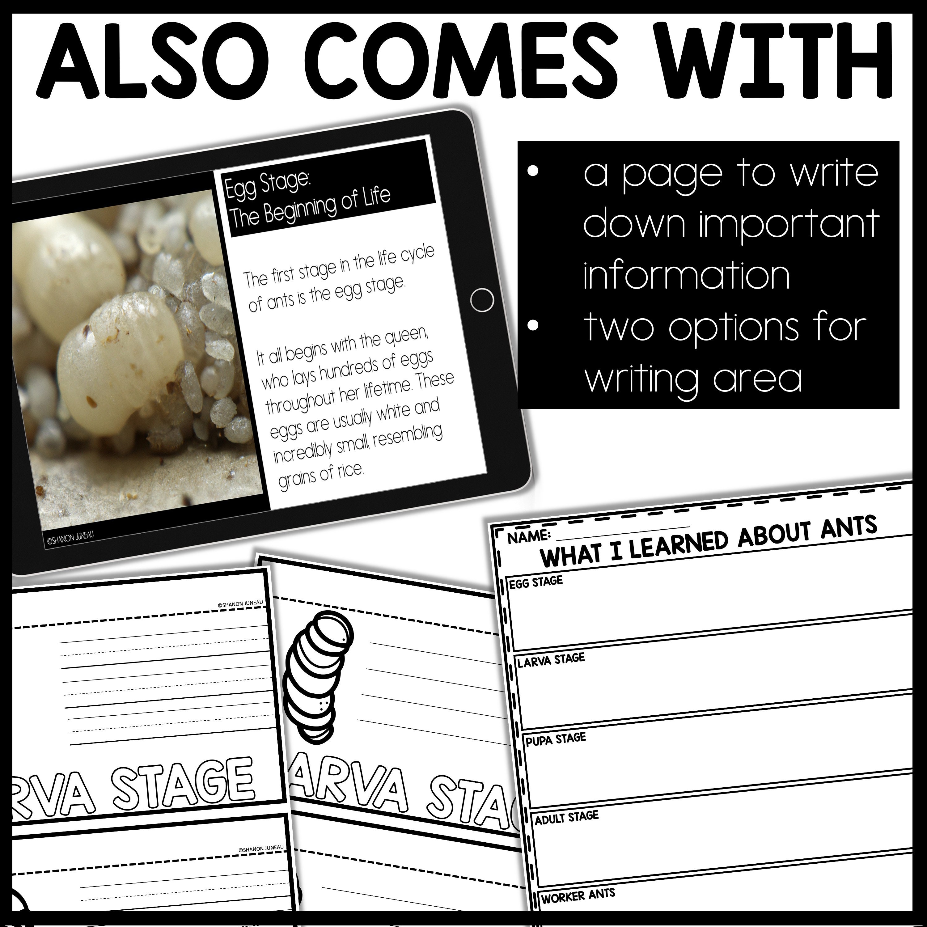 All About Ants - Animal Science Unit Animal Research Project Nonfiction ...