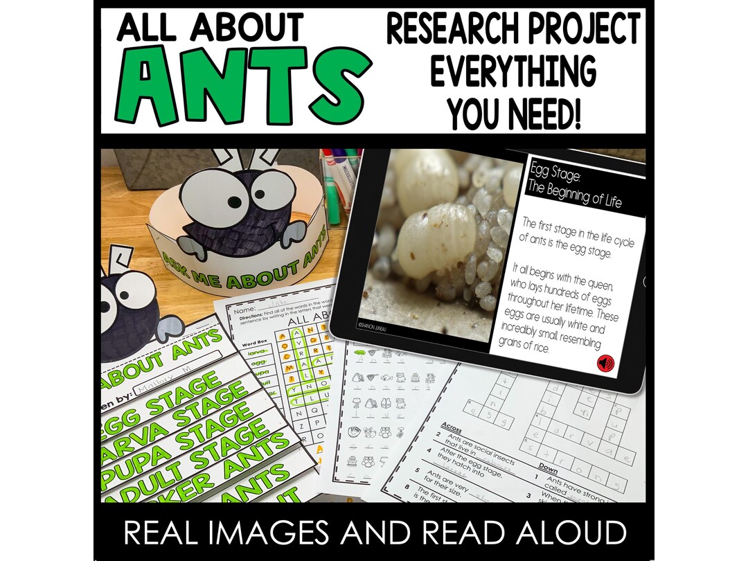 All About Ants - Animal Science Unit Animal Research Project Nonfiction ...