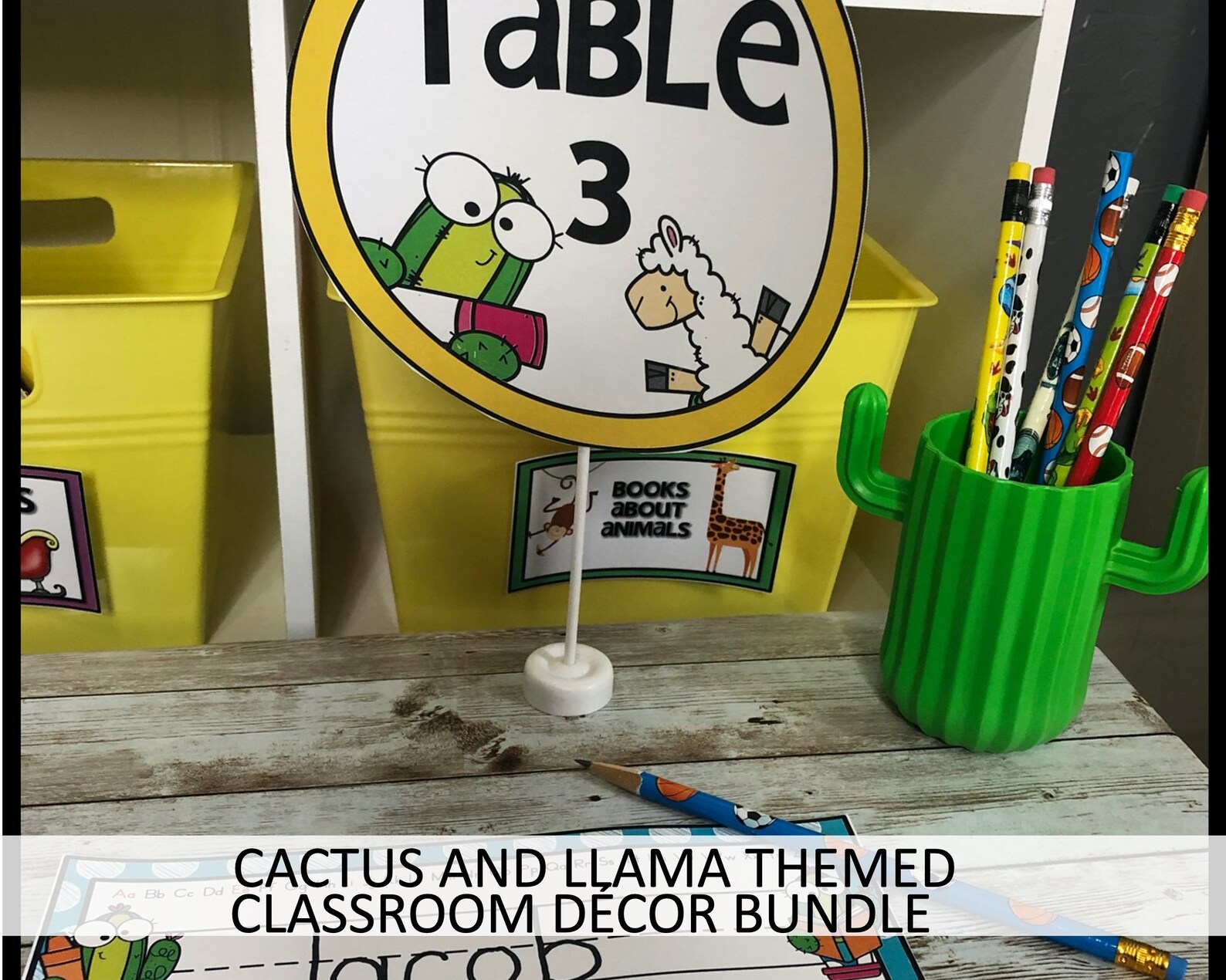 Cactus and Llama THEMED Classroom Decor, Elementary Themed Alphabet ...