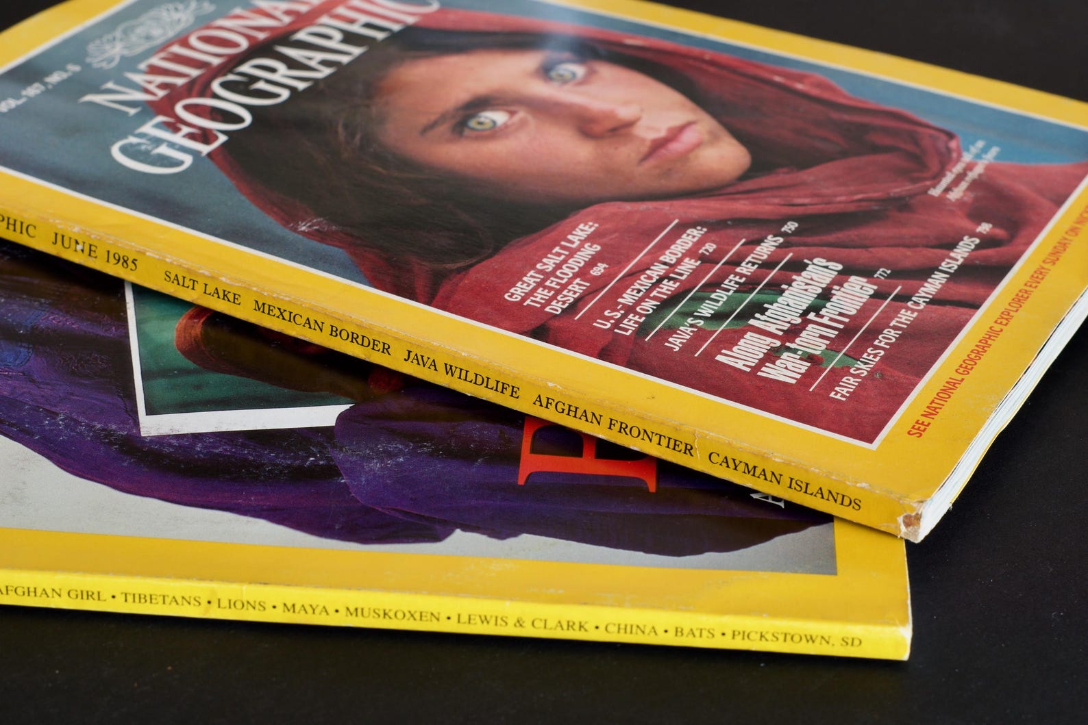 Two (2) National Geographic Magazines: June 1985 and April 2002 ...