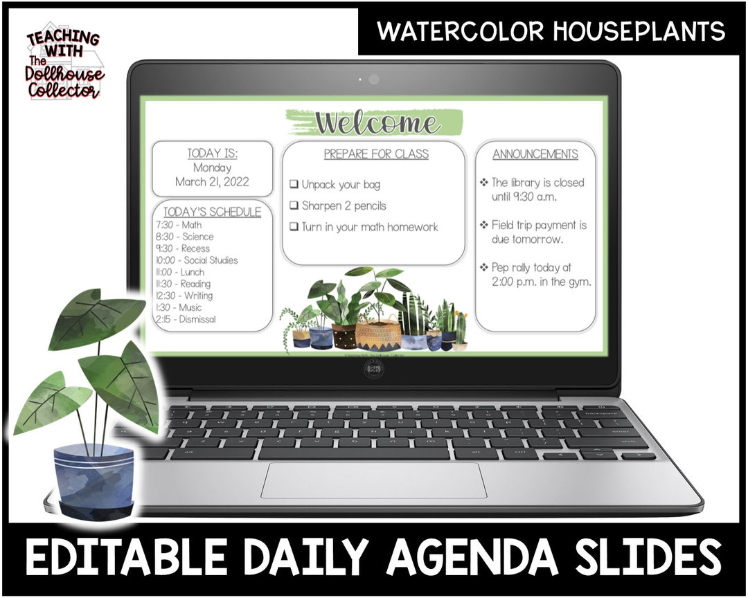 Editable Daily Agenda Slides Watercolor HOUSEPLANTS Theme Powerpoint ...