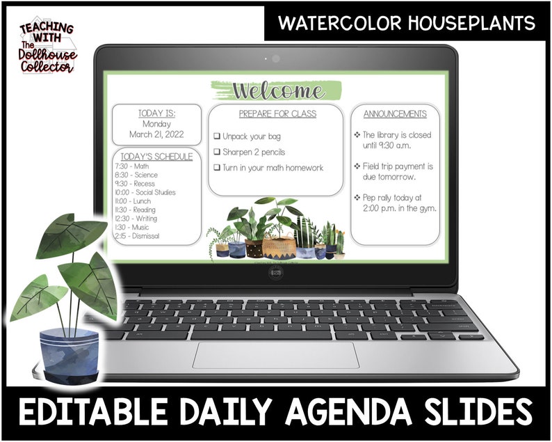 Editable Daily Agenda Slides Watercolor HOUSEPLANTS Theme Powerpoint ...