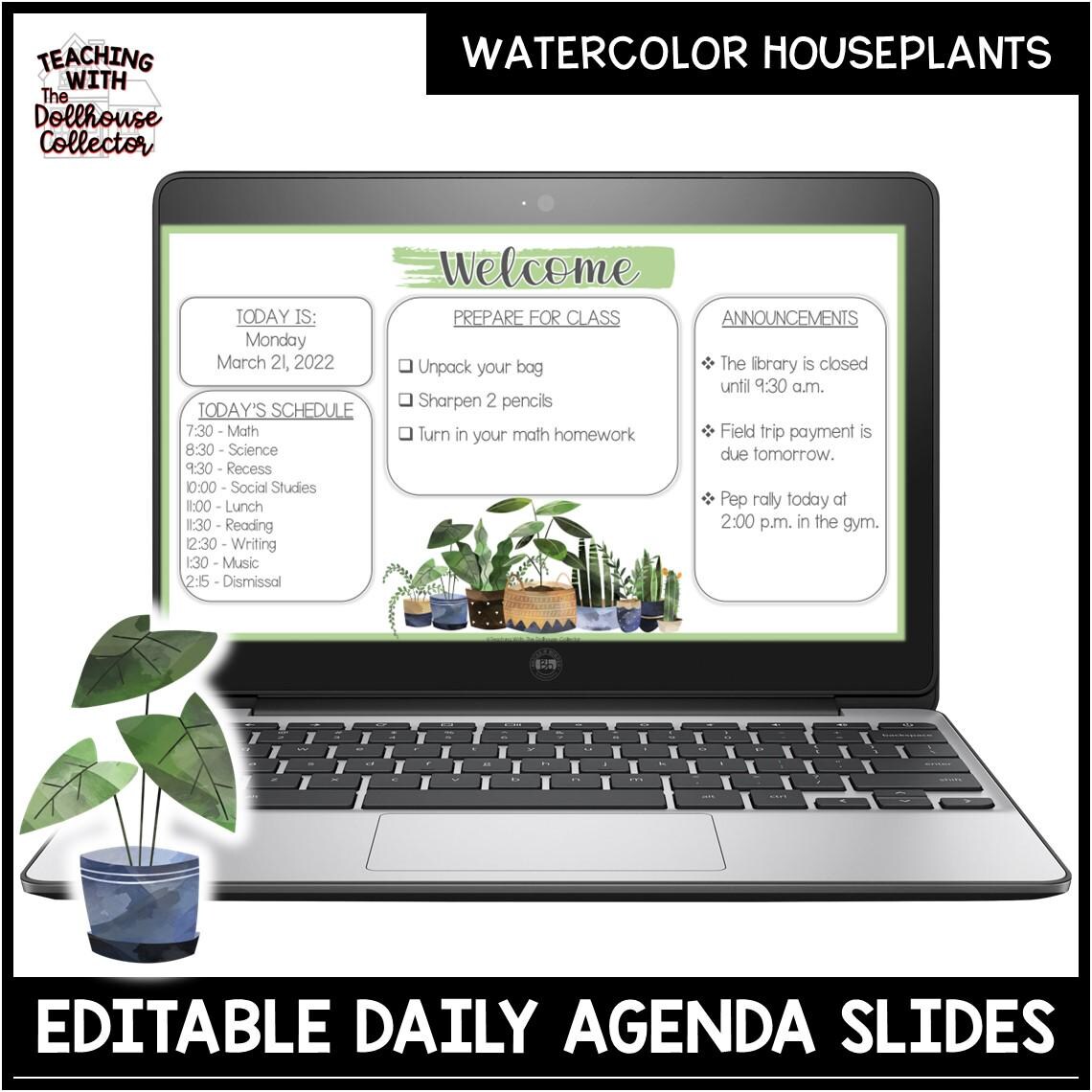 Editable Daily Agenda Slides Watercolor HOUSEPLANTS Theme | Powerpoint ...