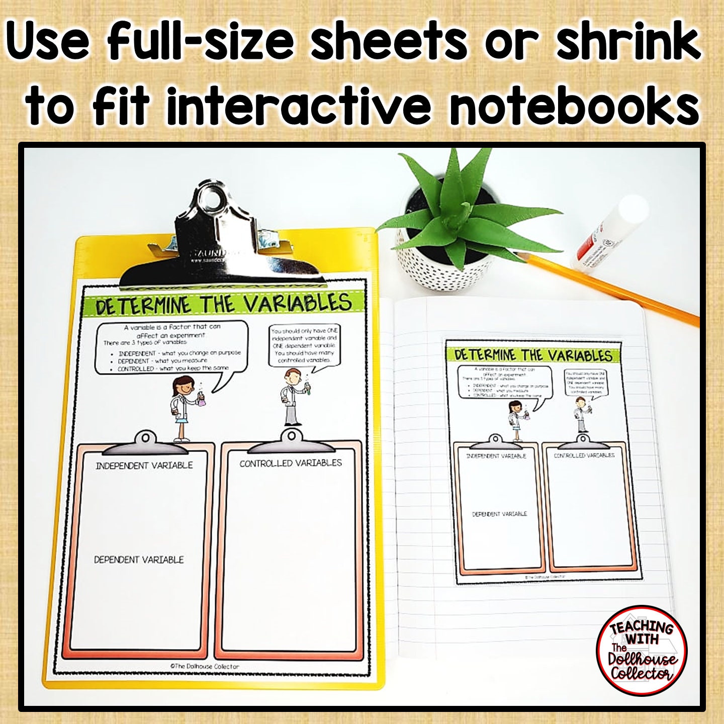 Science Fair Project Guide: Upper Elementary Homeschool (PDF) - Etsy