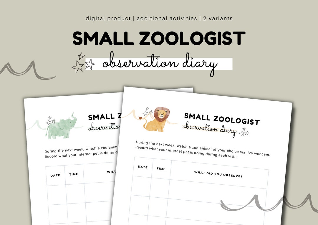 Small Zoologist Observation Diary | Animal Observation | Teaching ...