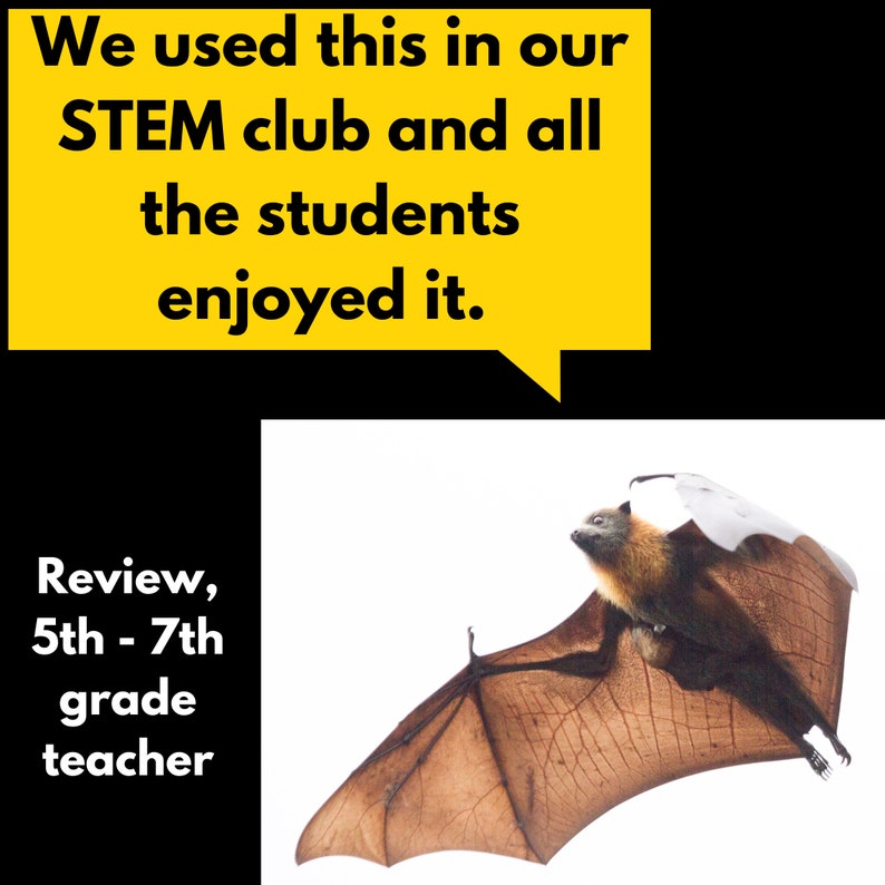 Bat Wings Wanted Halloween STEM Challenge Activity Download ...