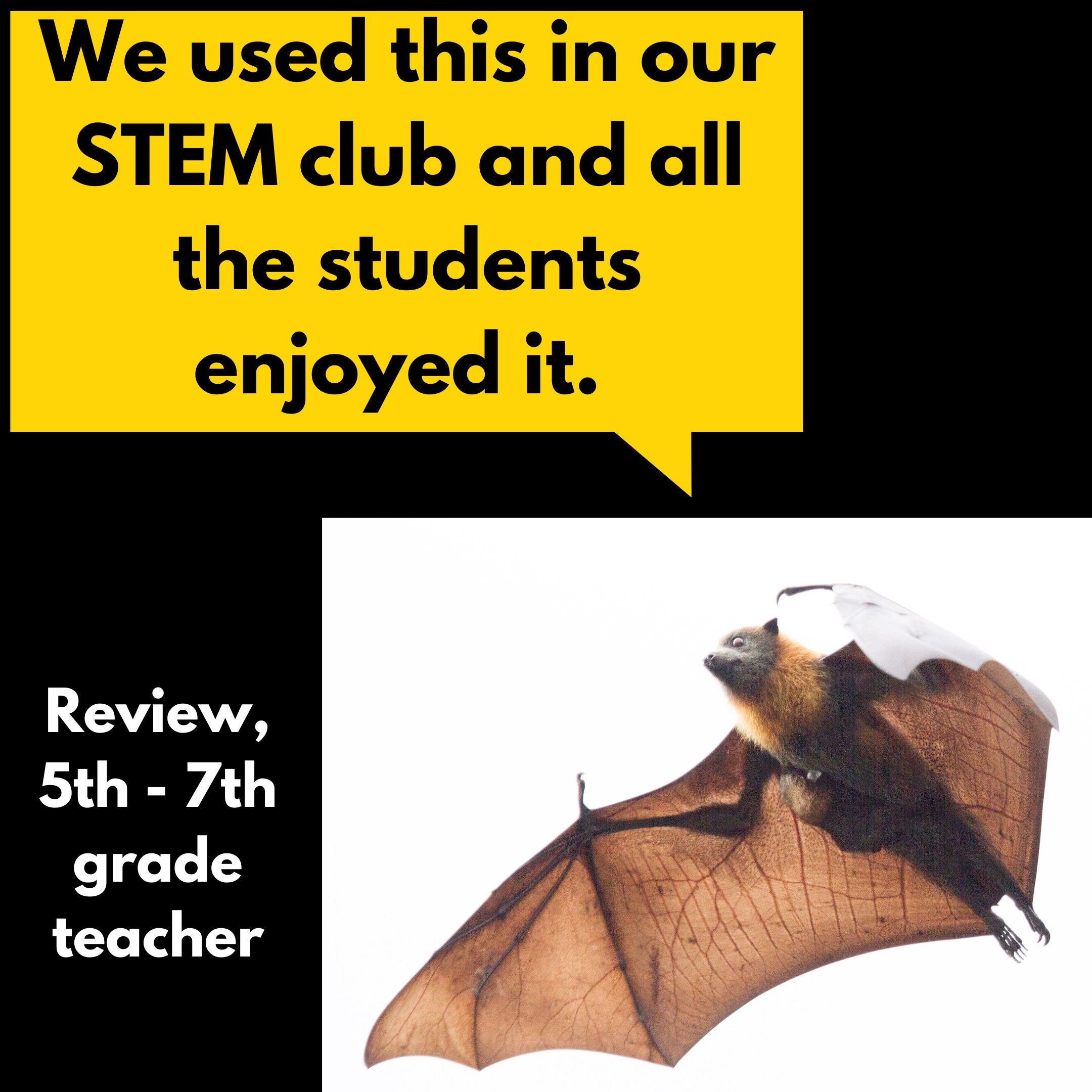 Bat Wings Wanted Halloween STEM Challenge Activity Download ...
