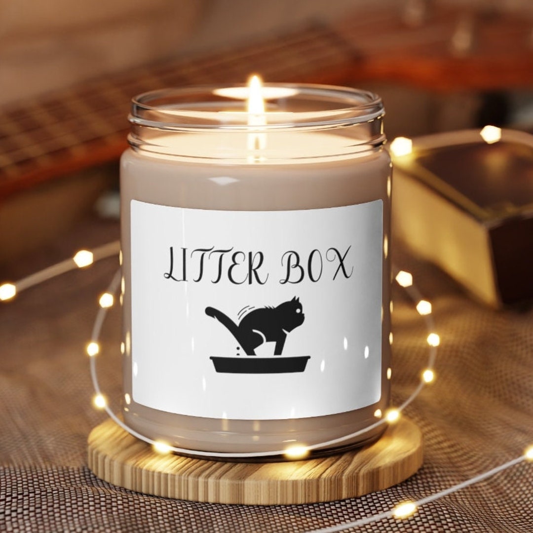Litter Box Funny Cat Candle, Cat Gag Gift, Funny Cat Candle, Litter Box ...