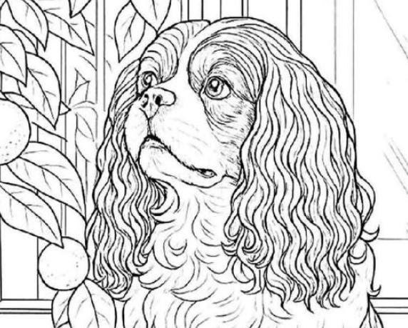 16 Printable Dog Coloring Pages PDF - Etsy