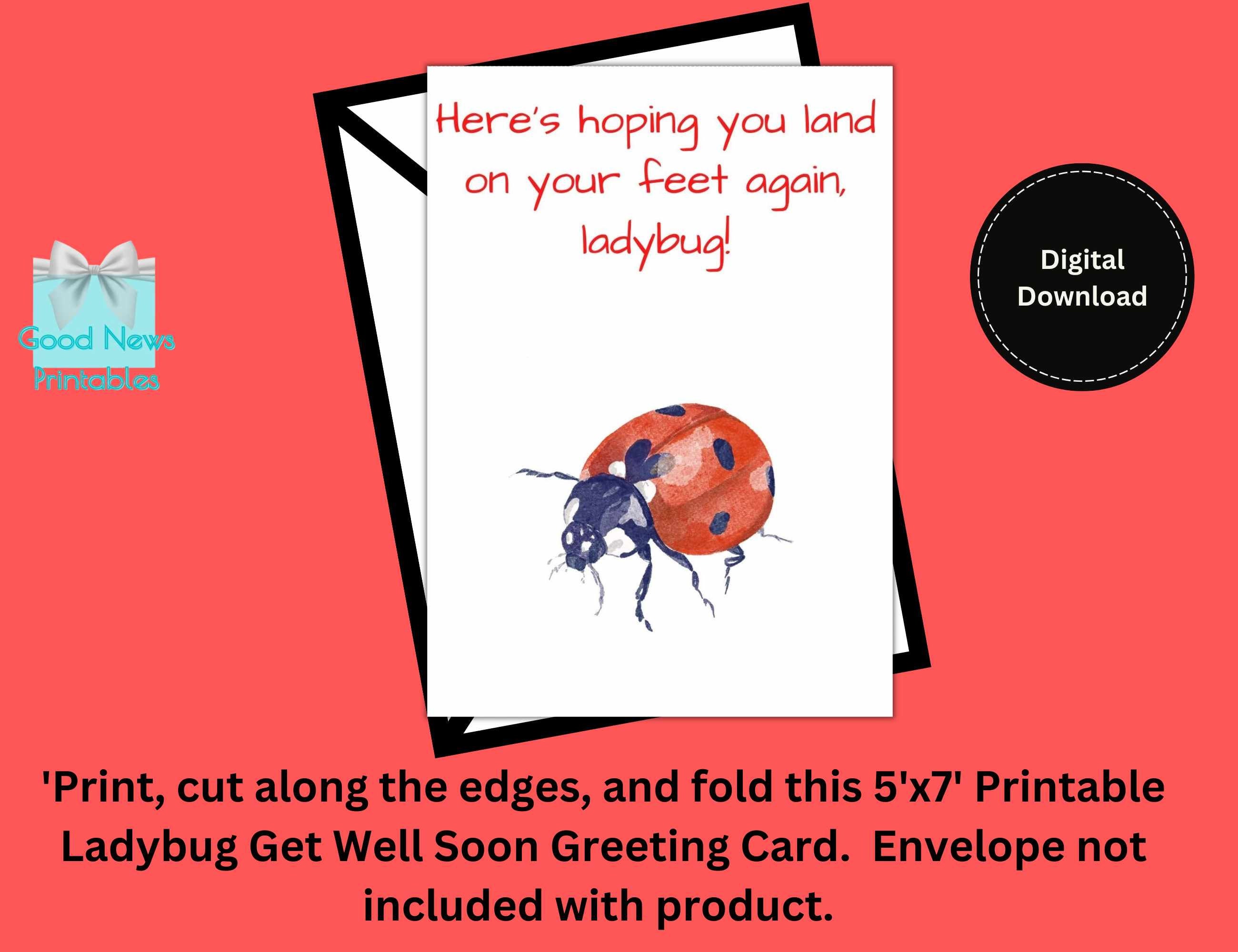 Printable Ladybug Get Well Soon Greeting Cards - Etsy