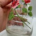 Vintage Rose June Birth Month Drinking Glass - Etsy
