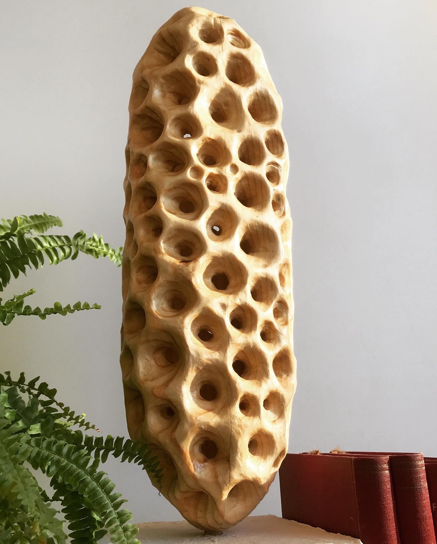 Abstract Hive Sculpture Carved Wood Modern Statue Contemporary Solid ...