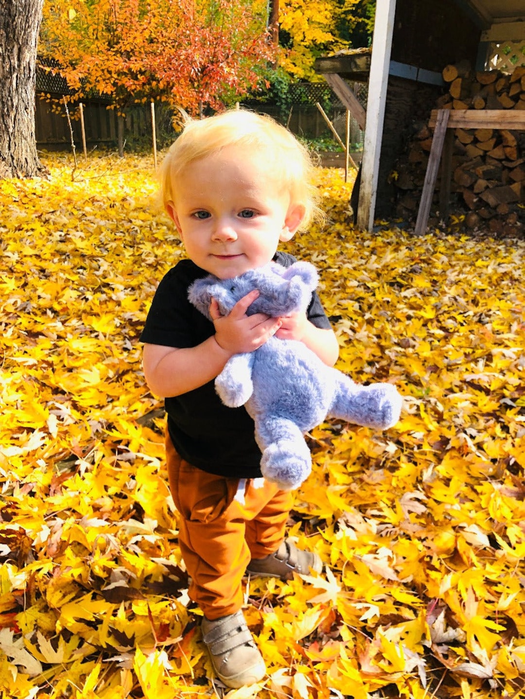 Magical Elephant Plushie for Kids Huggable and Adorable Stuffed Animal ...