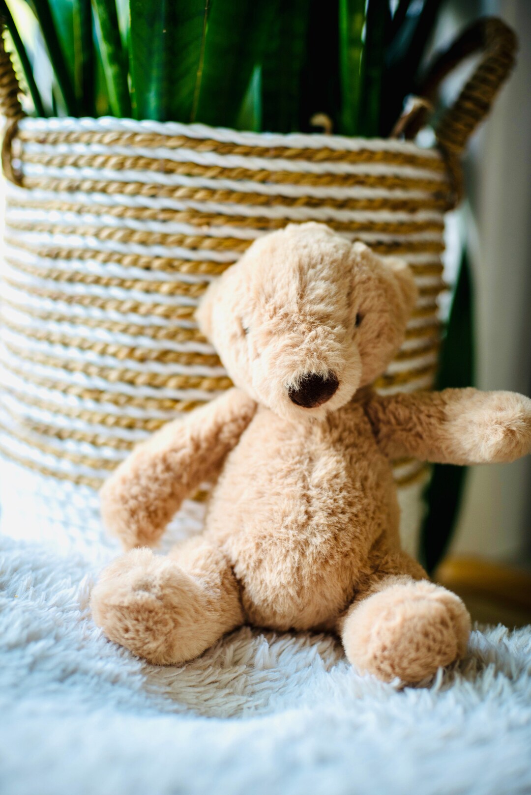 Cuddly Bear Plushie, Cute Teddy Toy, Soft Snuggle Buddy, Ideal Gift for ...