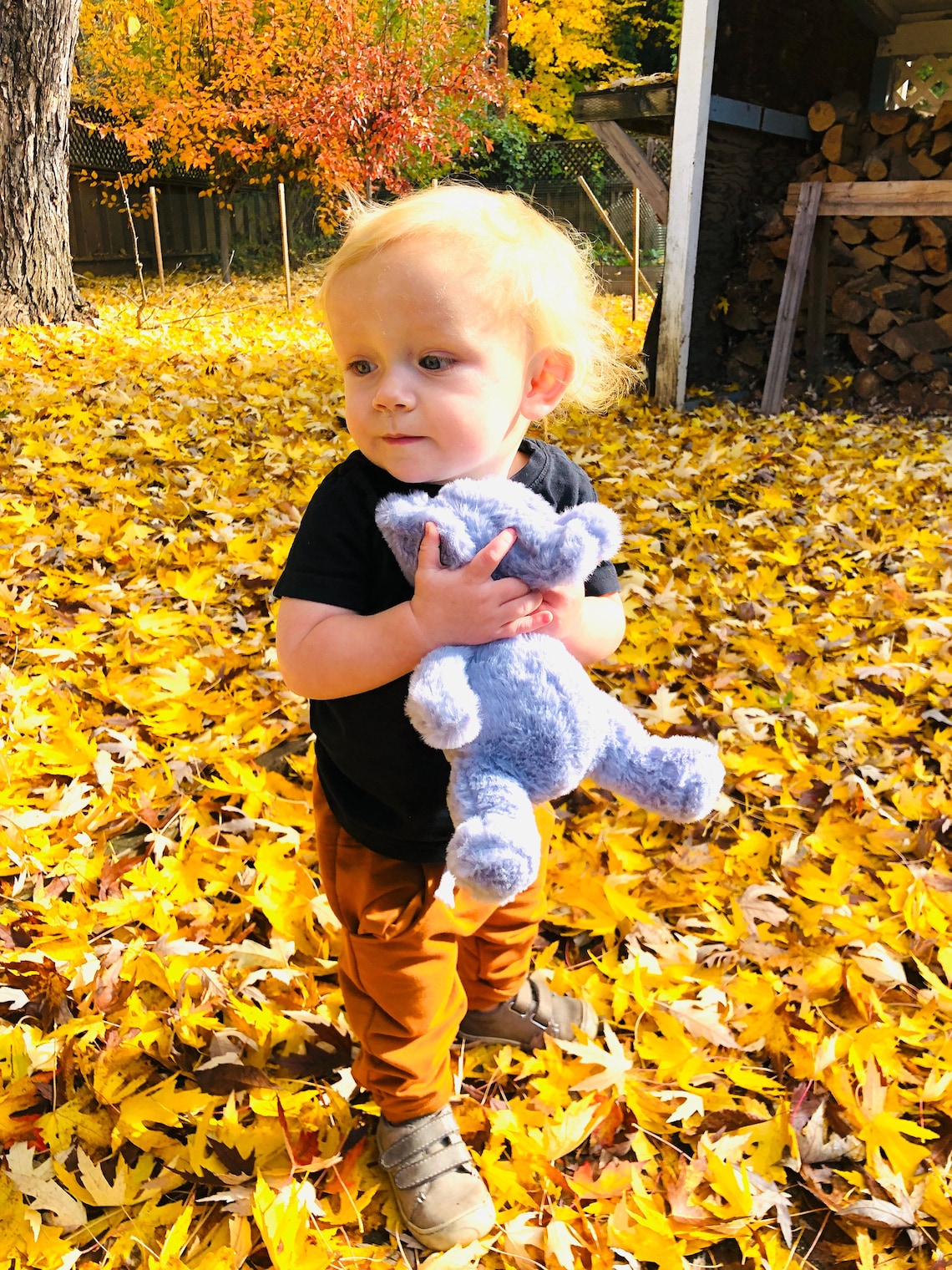 Magical Elephant Plushie for Kids Huggable and Adorable Stuffed Animal ...