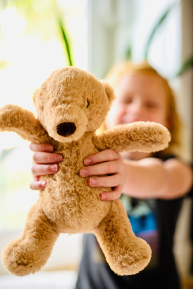 Cuddly Bear Plushie, Cute Teddy Toy, Soft Snuggle Buddy, Ideal Gift for ...