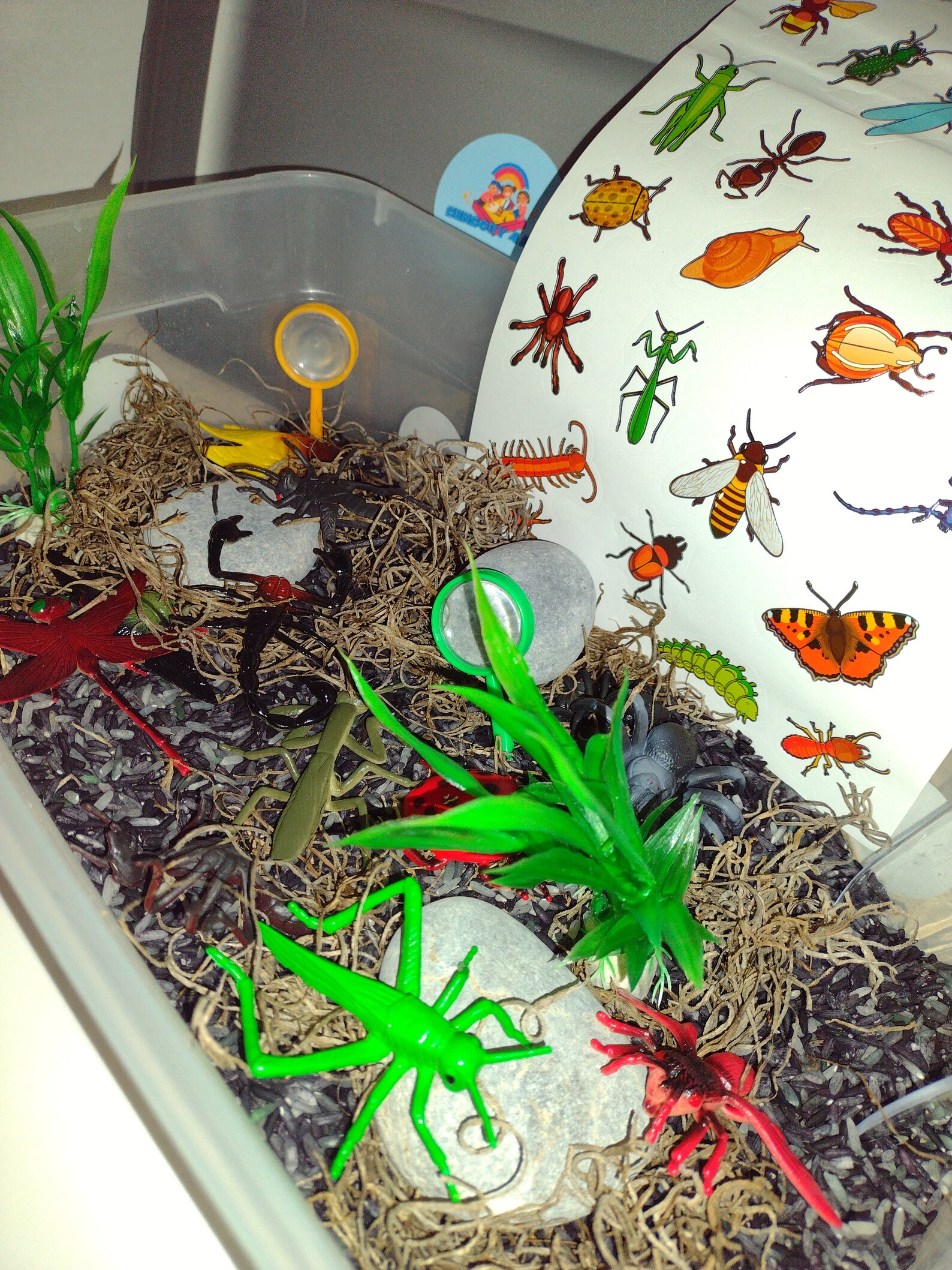 Insect Bug Themed Sensory Play Rice Bin for Kids Exploring Bugs Touch ...