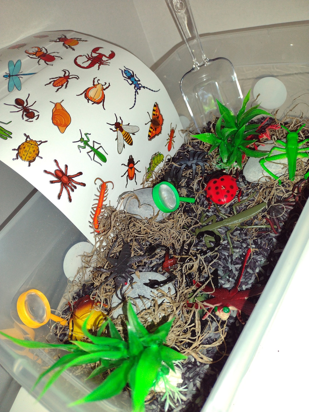 Insect Bug Themed Sensory Play Rice Bin for Kids Exploring Bugs Touch ...