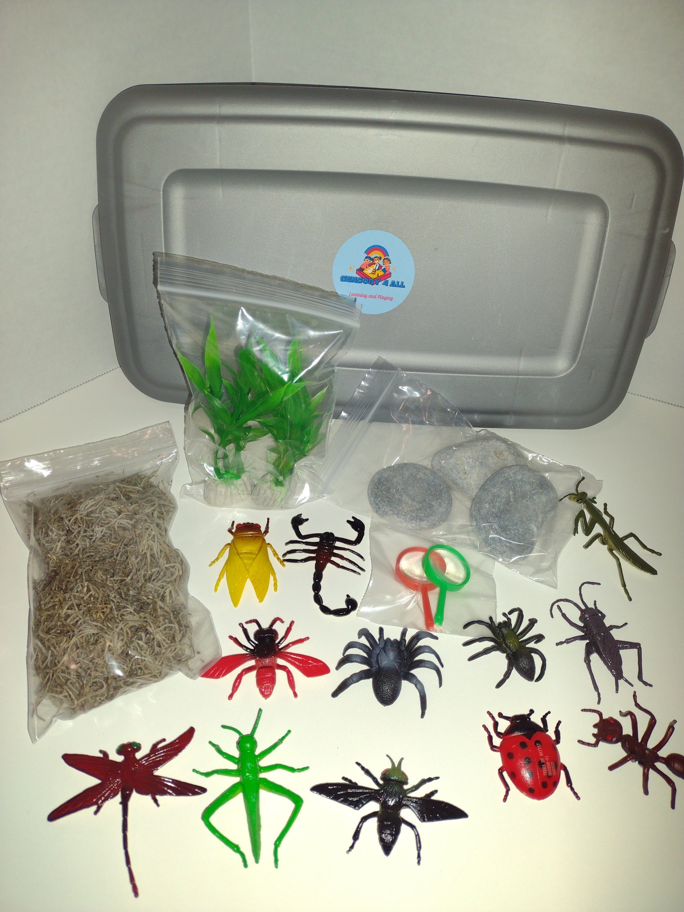 Insect Bug Themed Sensory Play Rice Bin for Kids Exploring Bugs Touch ...