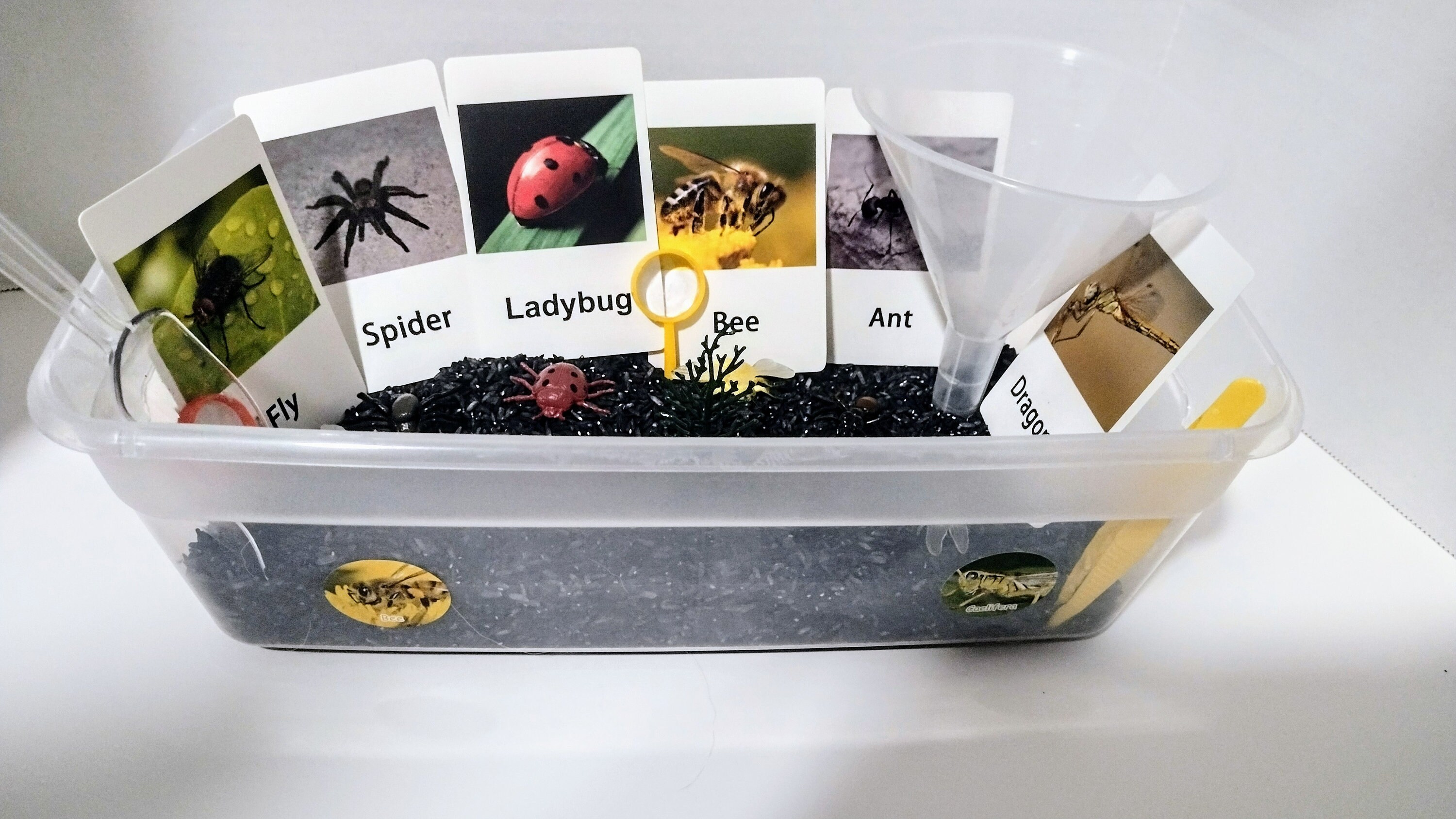 Matching Activity Insect Play Rice Bin Set A - Etsy