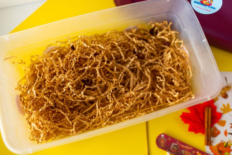 Thanksgiving Themed Shredded Paper Activity Sensory Play Bin for Kids ...