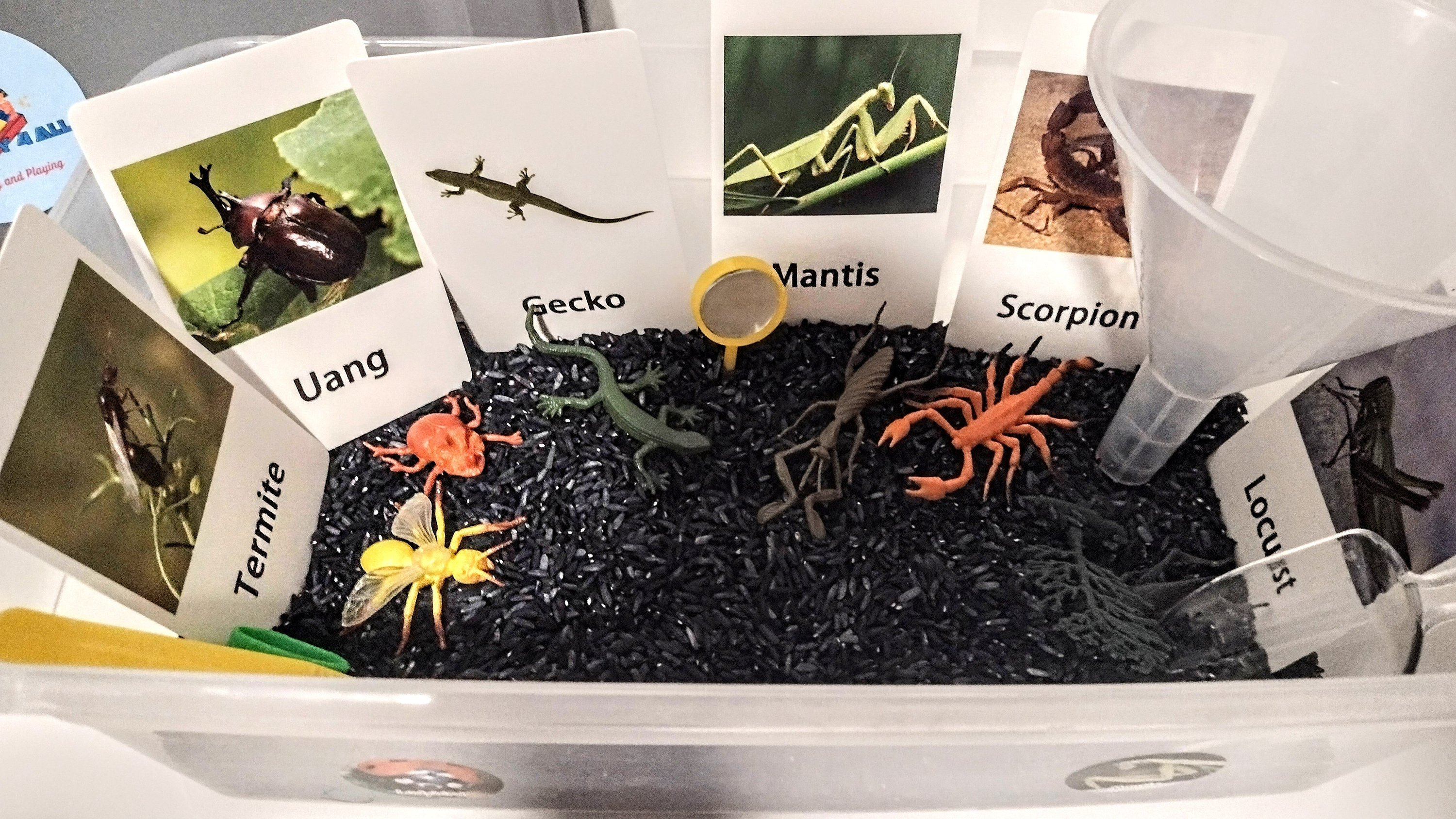 Matching Activity Insect Sensory Play Rice Bin Set B for Kids Exploring ...