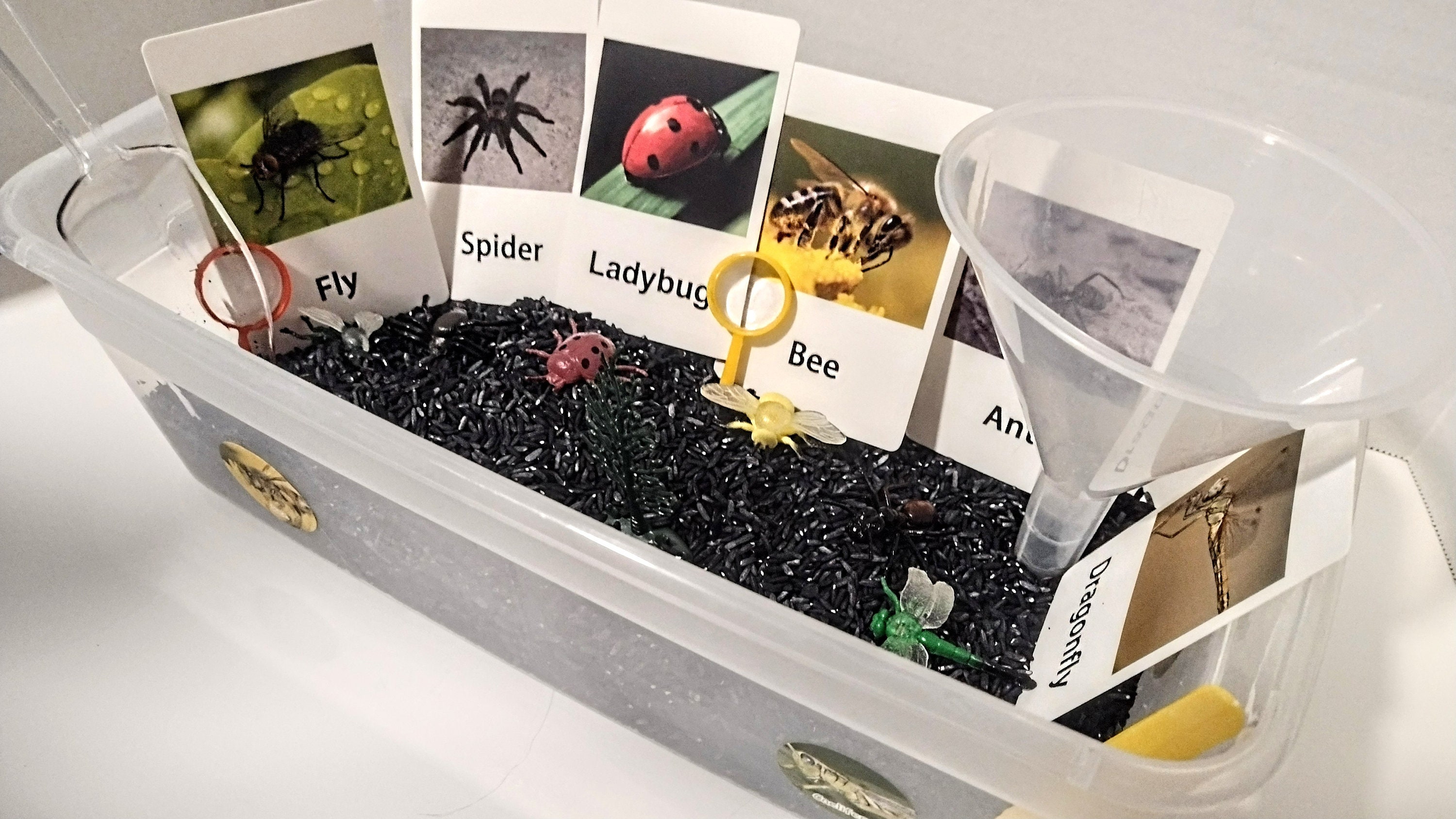 Matching Activity Insect Play Rice Bin Set A for Kids Exploring Bugs - Etsy