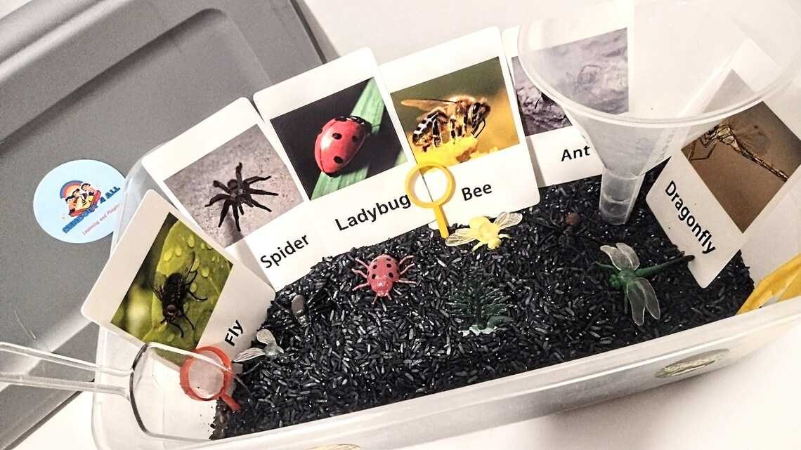 Matching Activity Insect Play Rice Bin Set A - Etsy