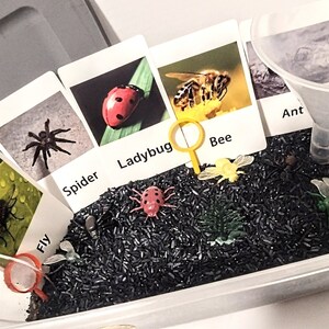 Matching Activity Insect Play Rice Bin Set A for Kids Exploring Bugs - Etsy