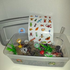 Insect Bug Themed Sensory Play Rice Bin for Kids Exploring Bugs Touch ...