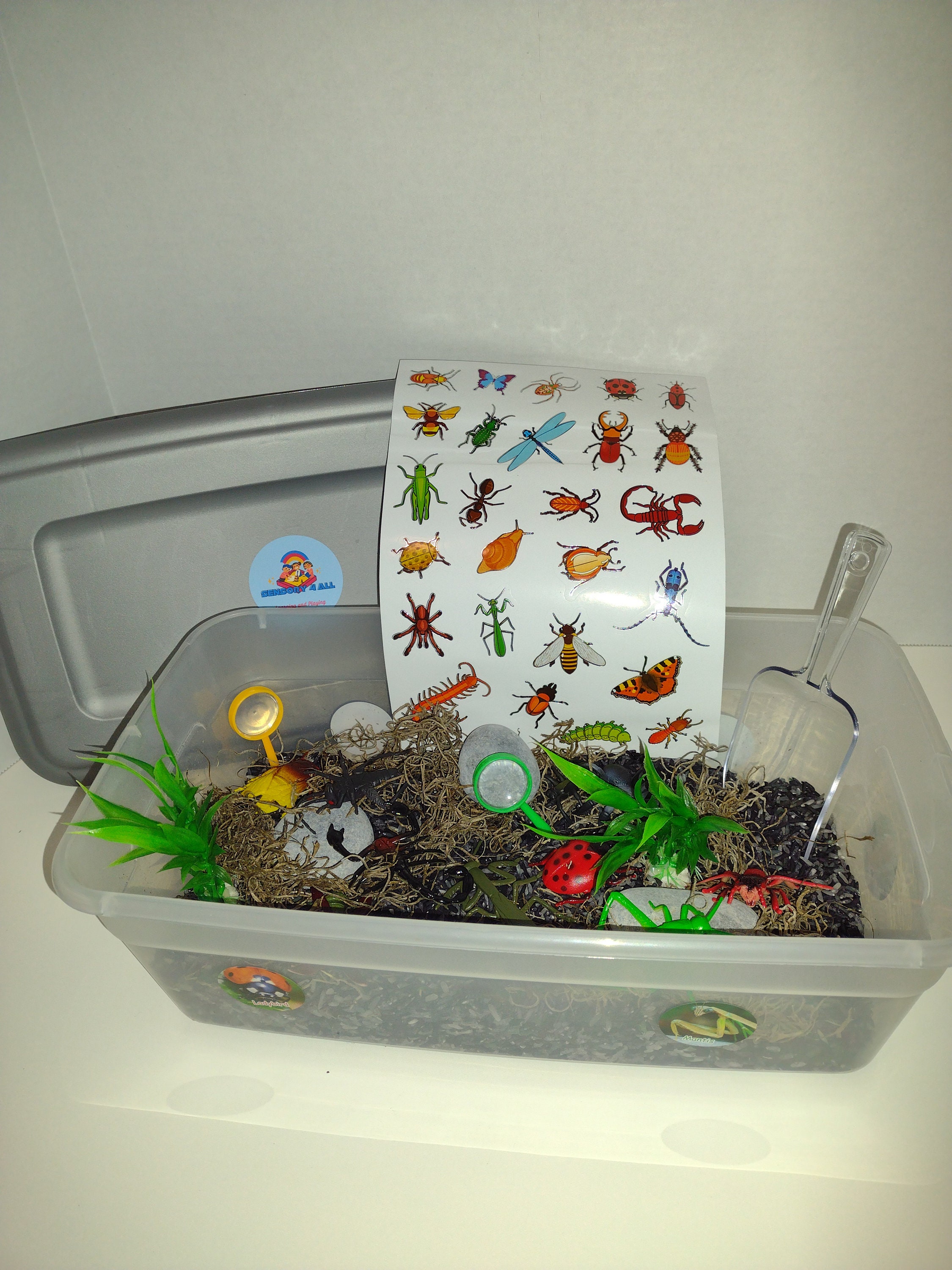 Insect Bug Themed Sensory Play Rice Bin for Kids Exploring Bugs Touch ...