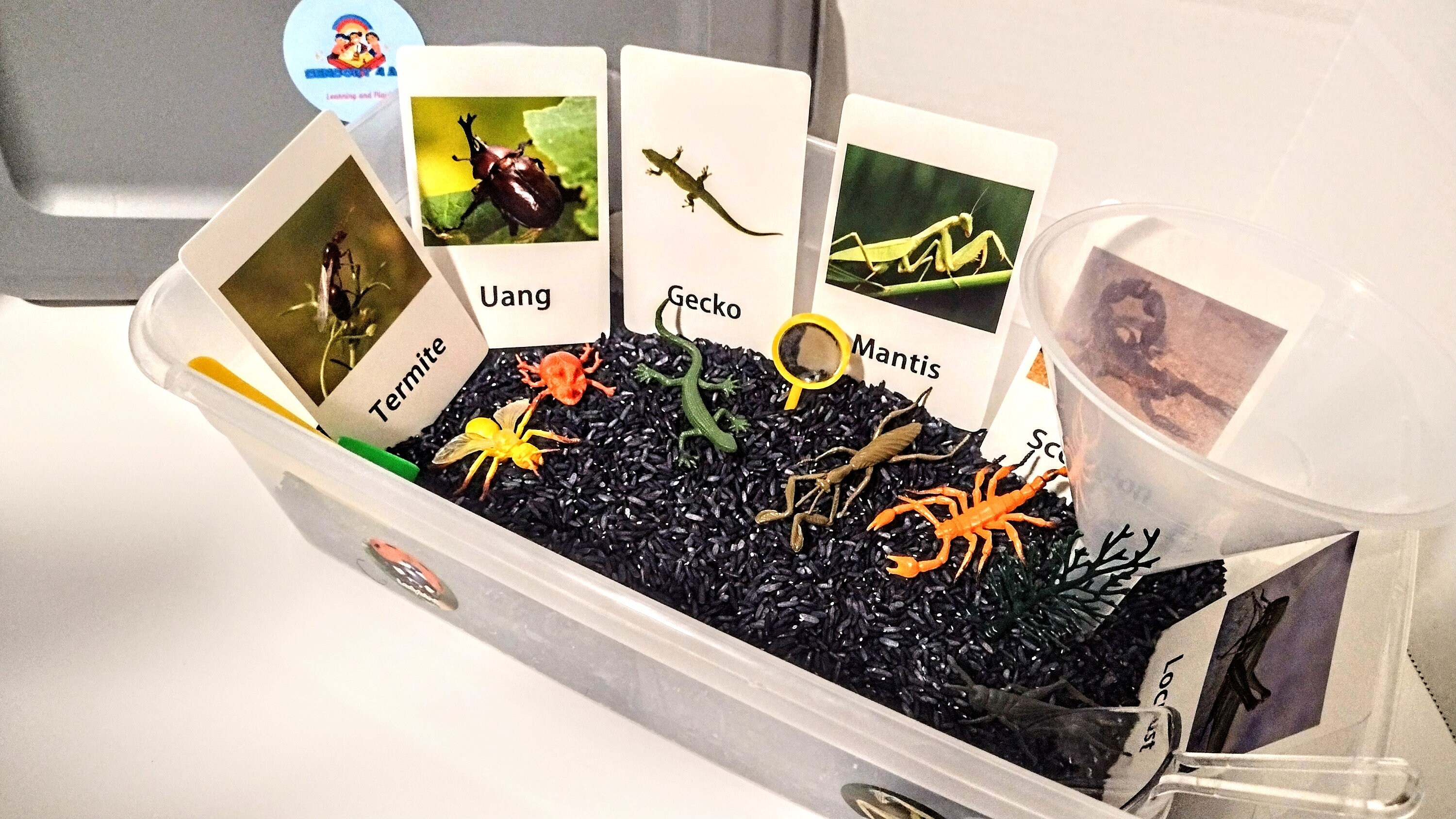 Matching Activity Insect Sensory Play Rice Bin Set B for Kids Exploring ...