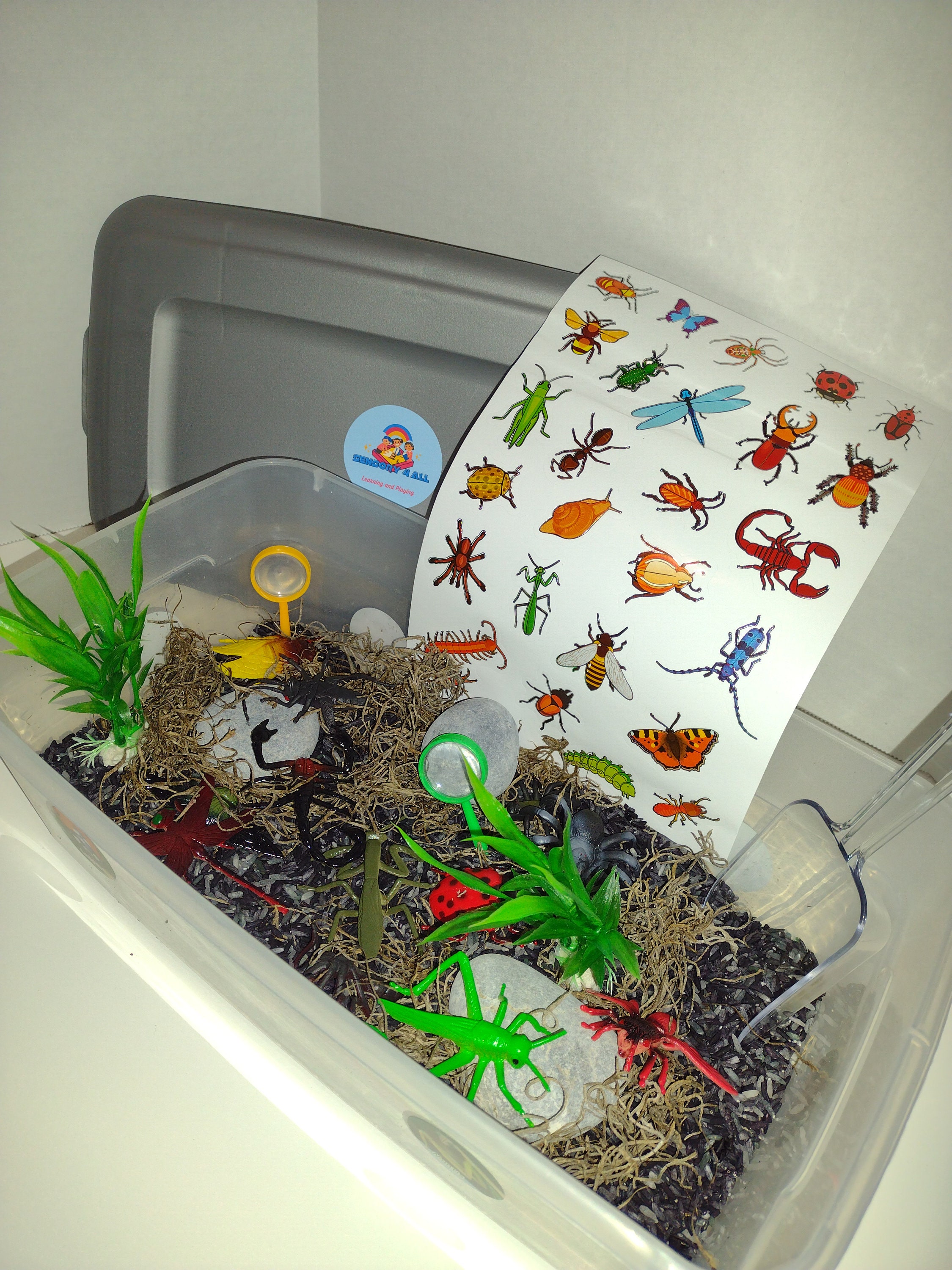 Insect Bug Themed Sensory Play Rice Bin for Kids Exploring Bugs Touch ...