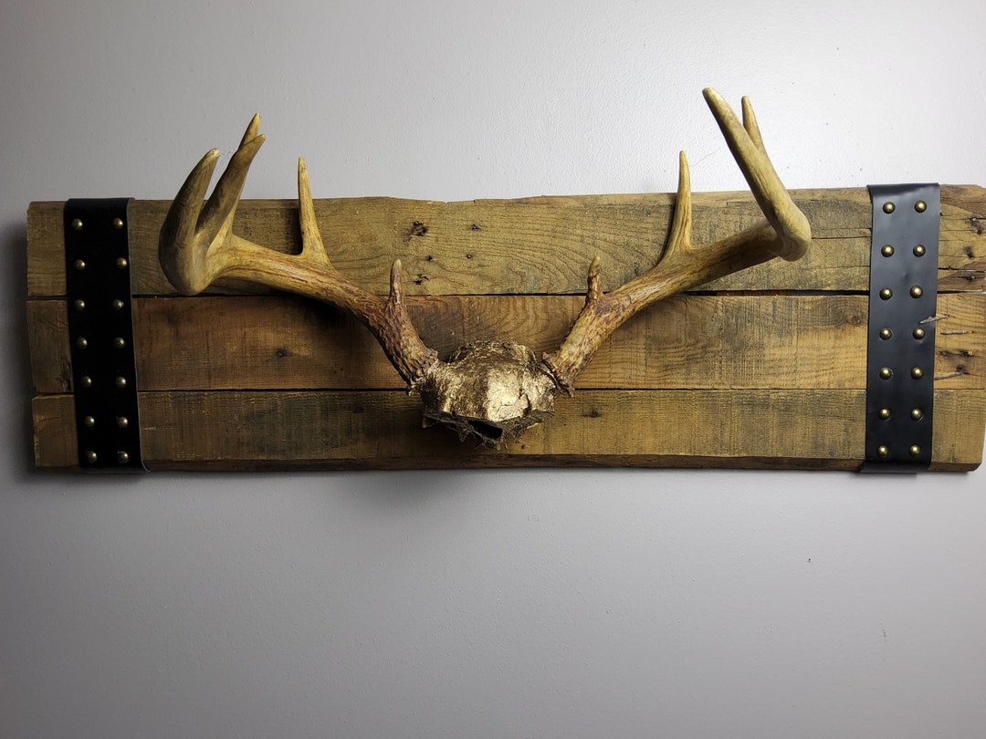 Deer Antler Skull Wall Mount Hunting Game Man Gifts Mancave Wall ...
