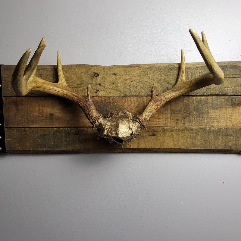 Antler Wall Rack - Etsy