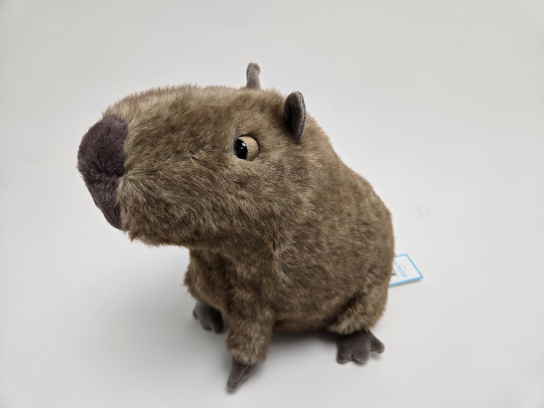 Jellycat Clyde Capybara Collectible New With Tags! (10 Inch) - Etsy ...