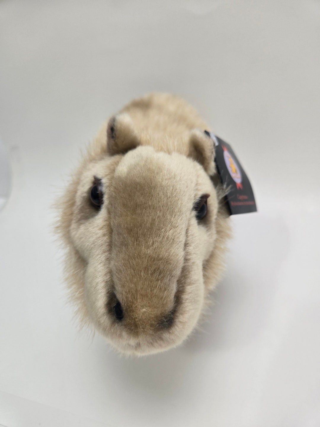 Capybara Plush. Vintage Collectible, New With Tags (10 Inch) - Etsy