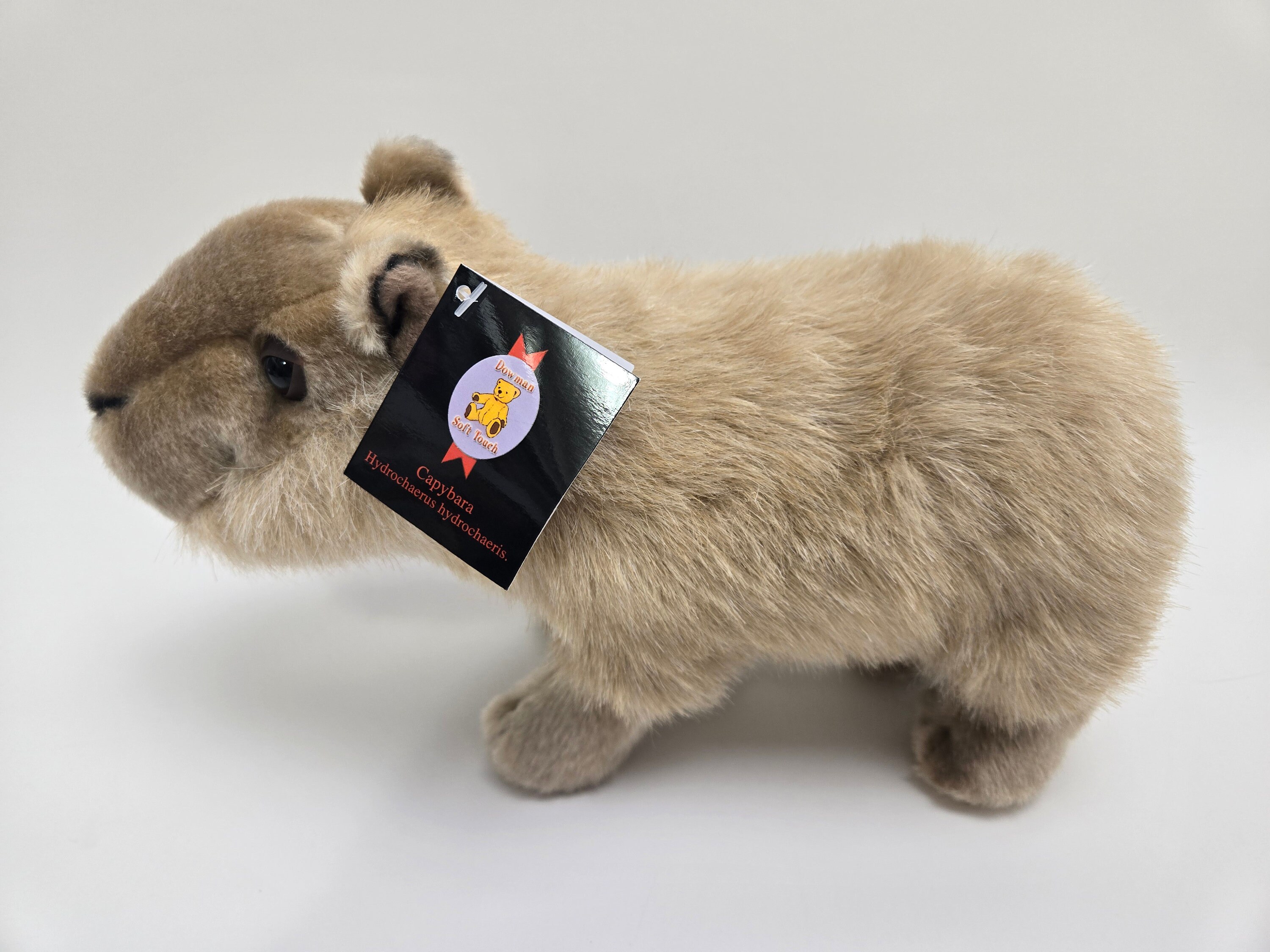 Capybara Plush. Vintage Collectible, New With Tags 10 Inch - Etsy