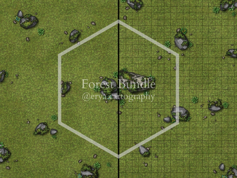 Forest Bundle Battle Maps 2K, DnD Map, Dungeons and Dragons, Roll20 ...