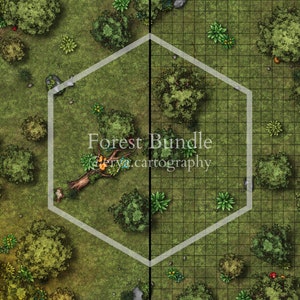 Forest Bundle Battle Maps 2K, Dnd Map, Dungeons and Dragons, Roll20 ...