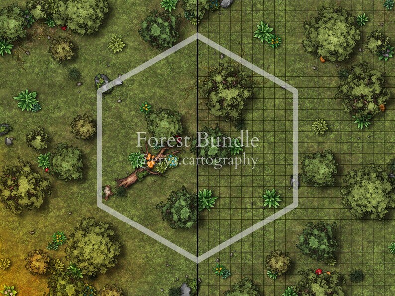 Forest Bundle Battle Maps 2K Dnd Map Dungeons and Dragons - Etsy