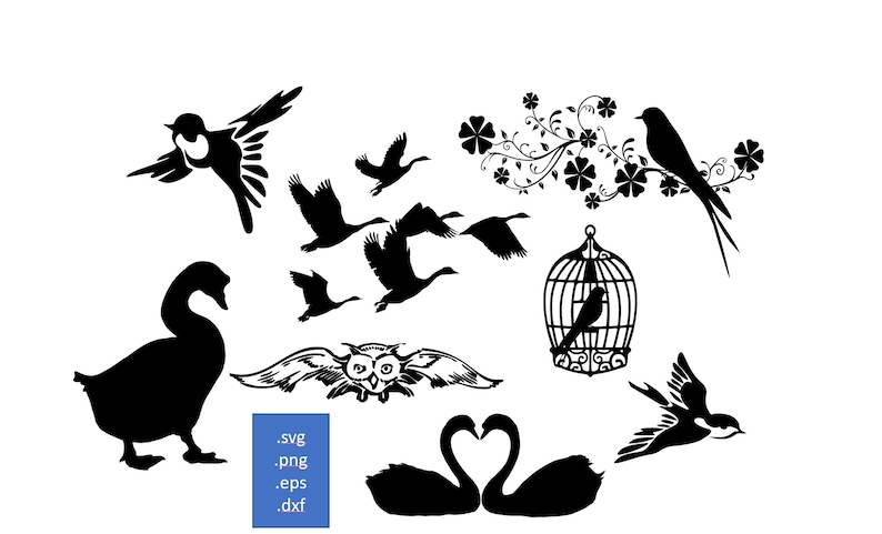Detailed Bird Images SVG, Eps, Dxf, PNG for Cricut or Silhouette ...