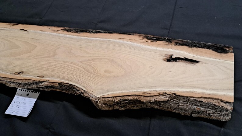Live Edge Black Locust Slab - Etsy